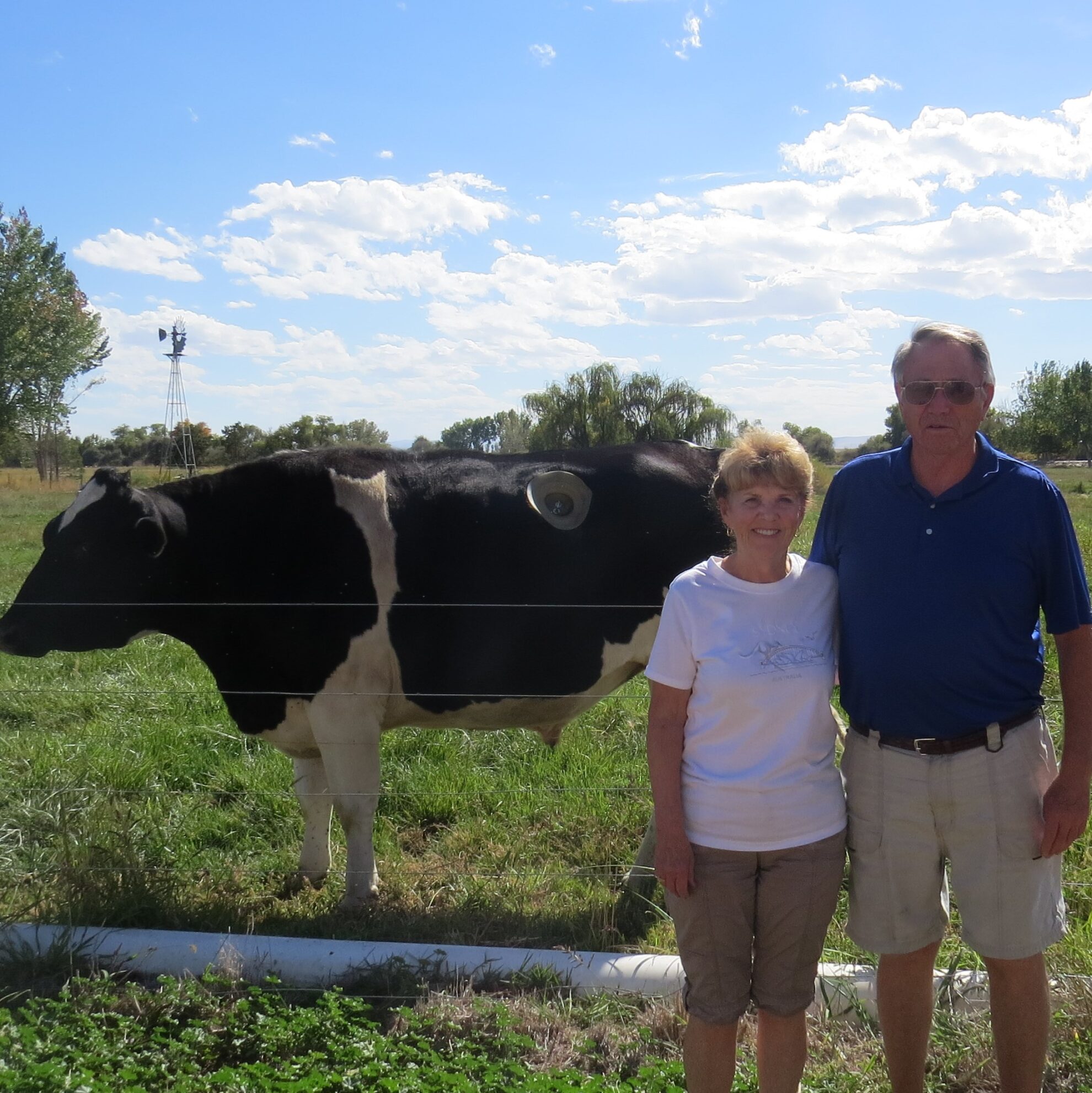 About Us – Bar Diamond, Inc.